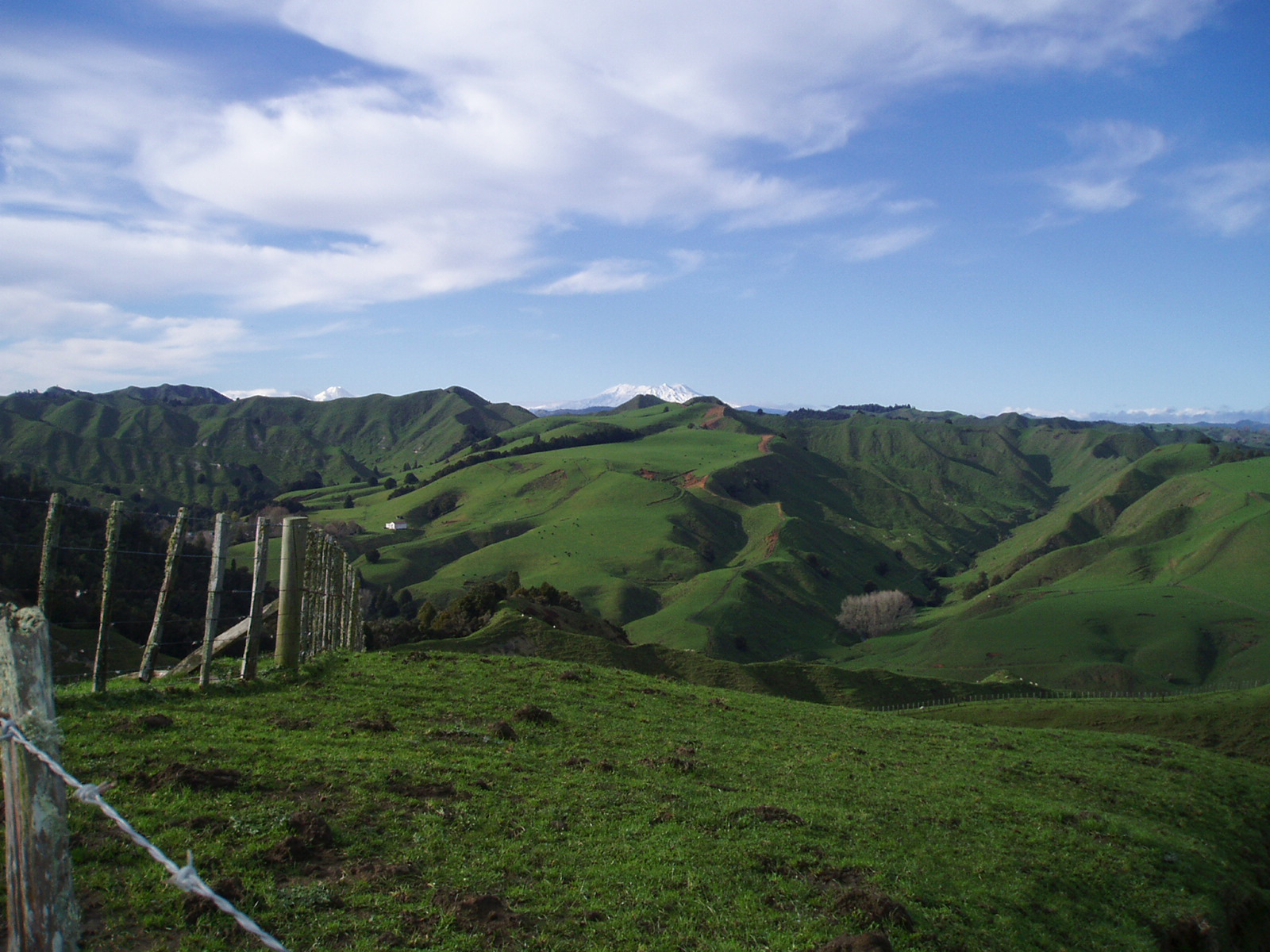 The first commentary: Investing in resources - Agricultural Investments ...