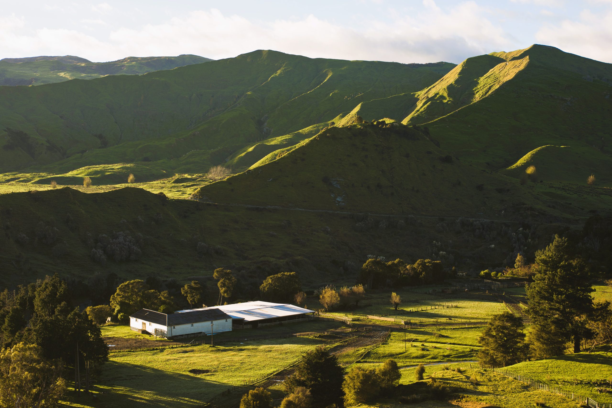 An outlook for the financial markets - Agricultural Investments New ...