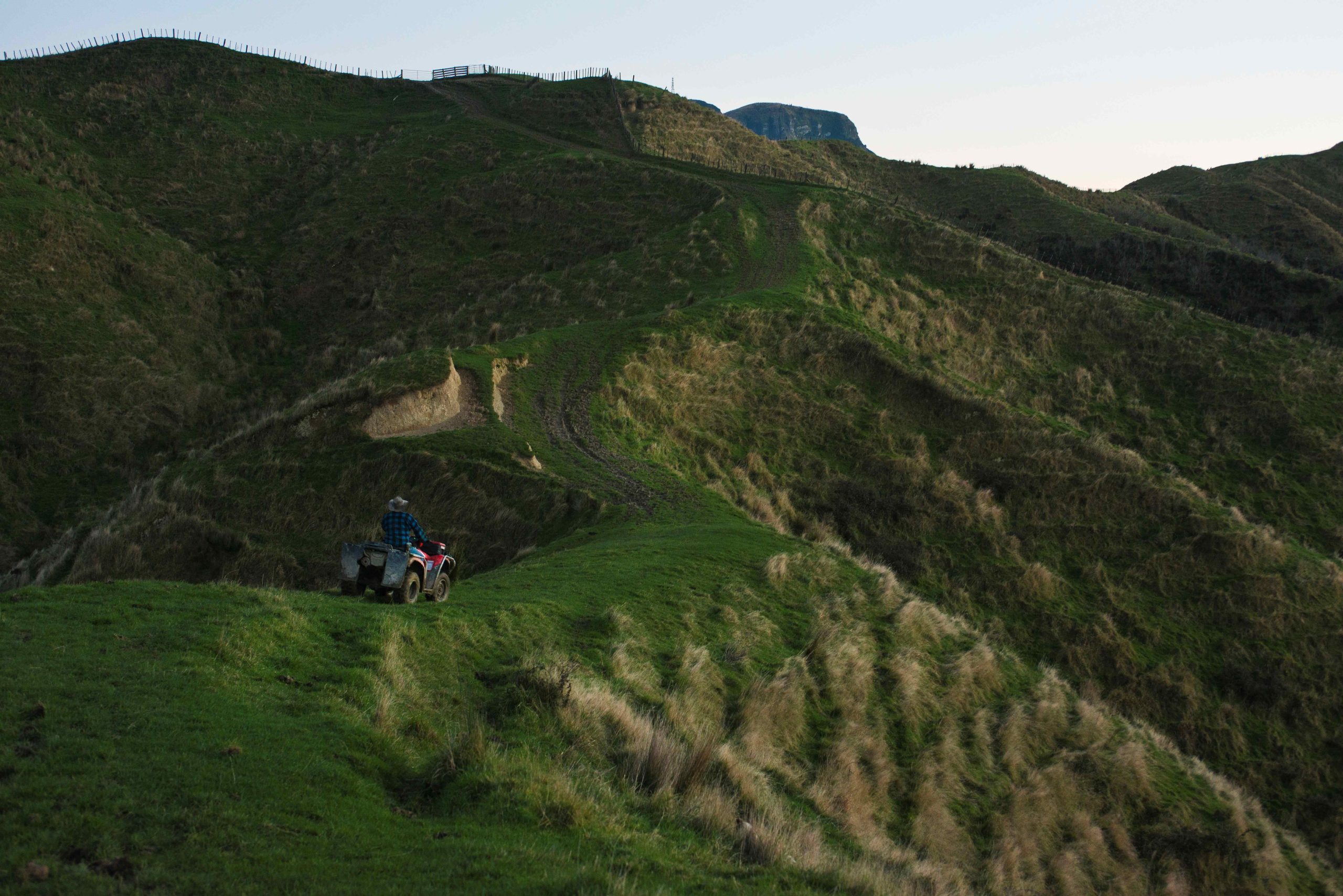 Craigmore farming in New Zealand - Agricultural Investments New Zealand ...