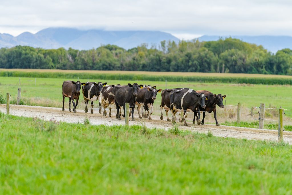 Inflation and farm gate prices - Agricultural Investments New Zealand ...