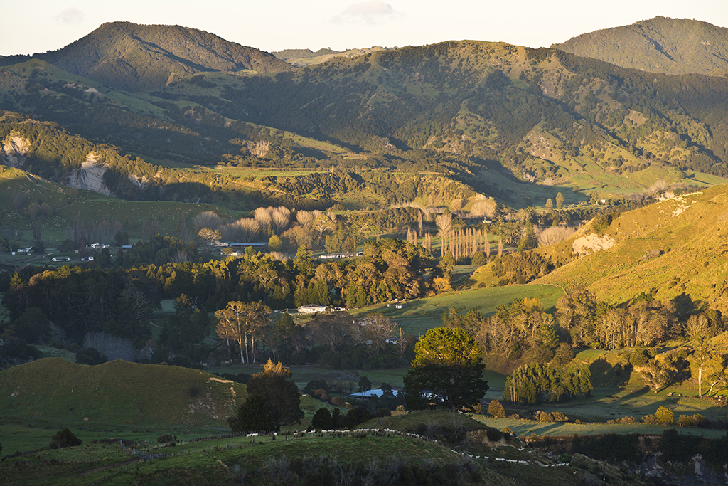 Farmland's decade - Craigmore Sustainables