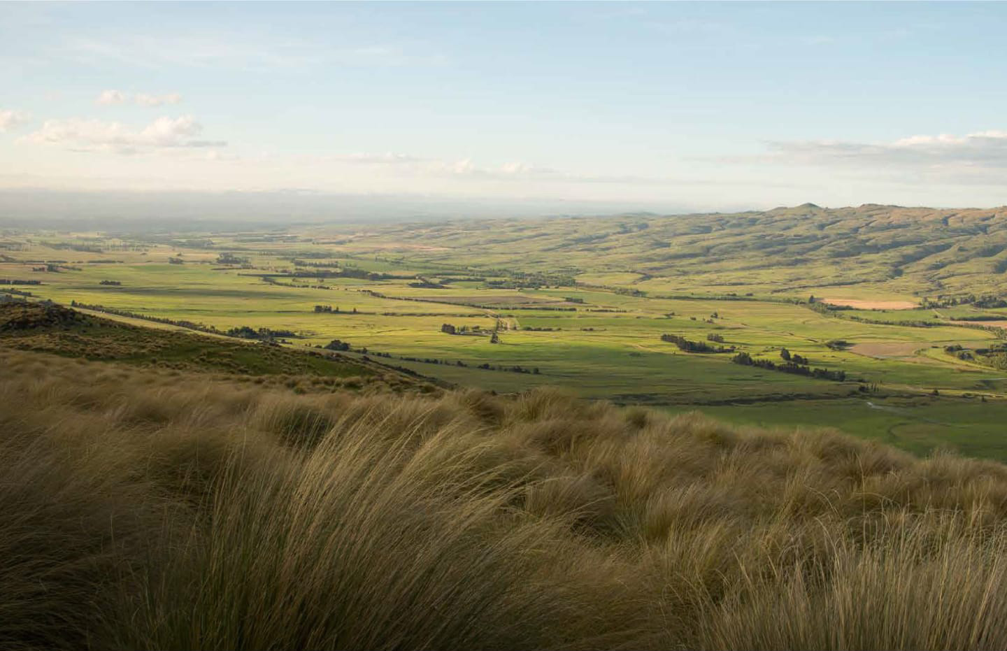 Agricultural Investments New Zealand - Craigmore Sustainables
