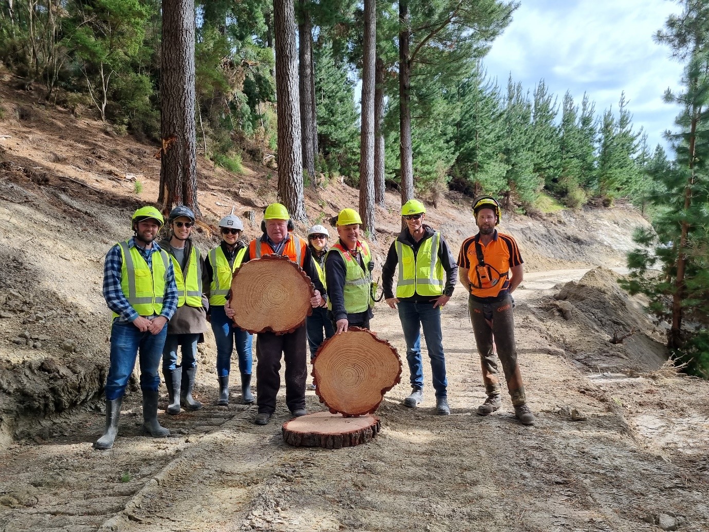 Milestone at Lagoon Hill with first forest harvest - Craigmore Sustainables