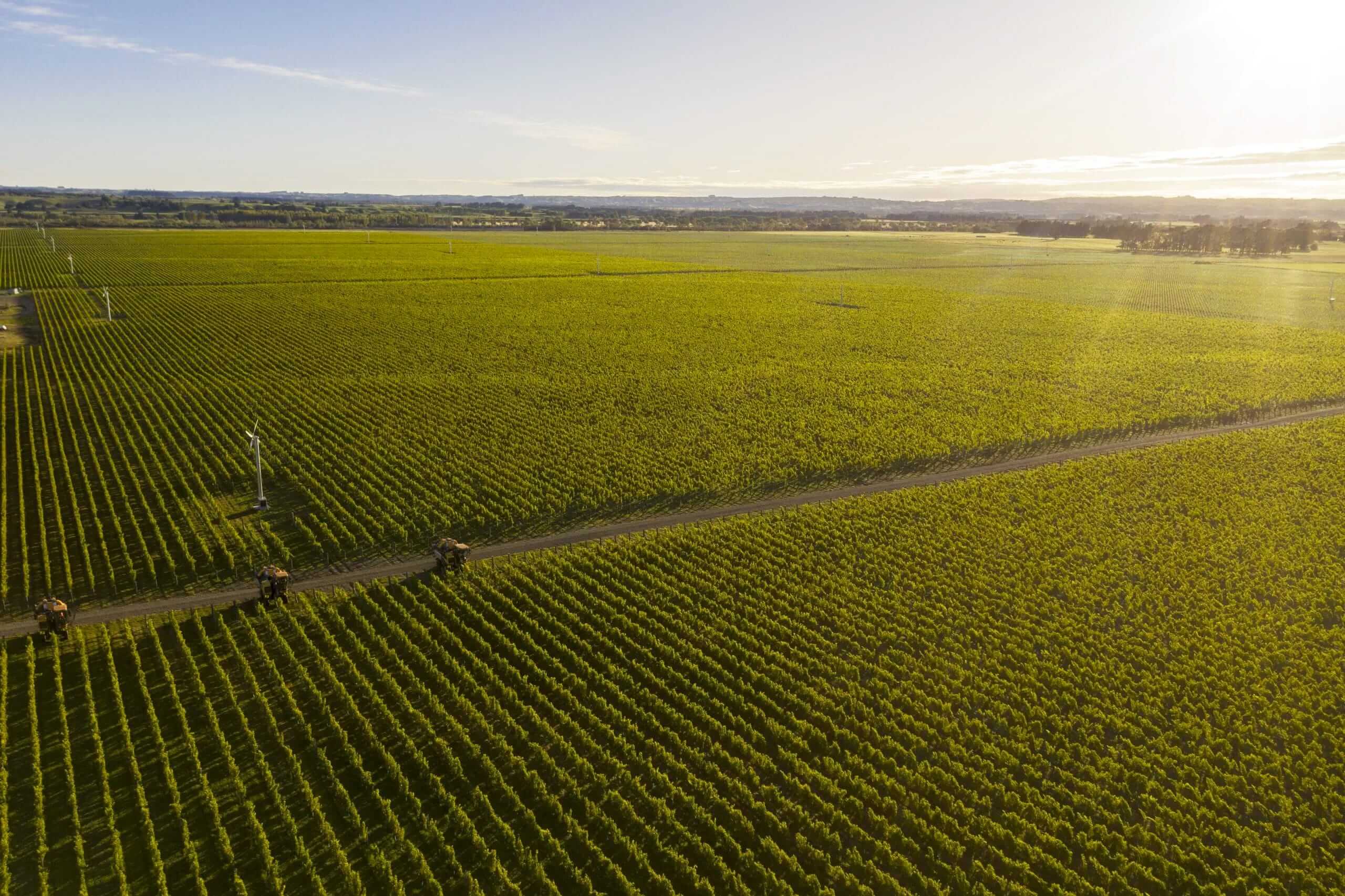 Agricultural Investments New Zealand - Craigmore Sustainables