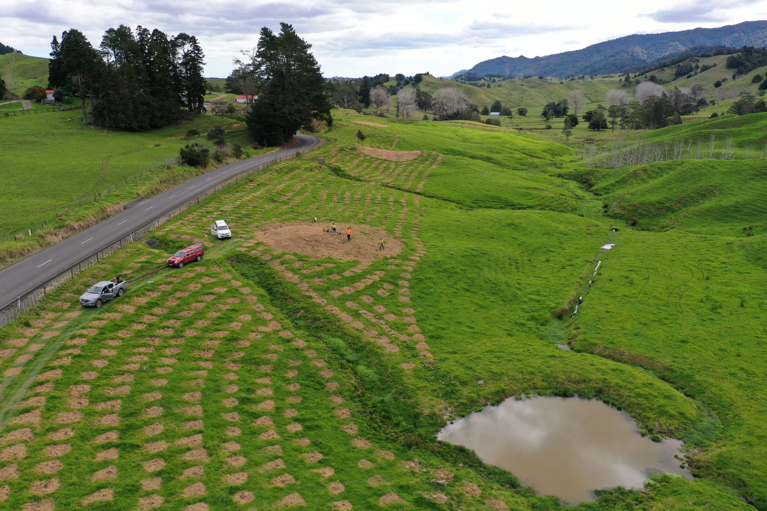 Innovative project brings native plants to forests and farmland ...