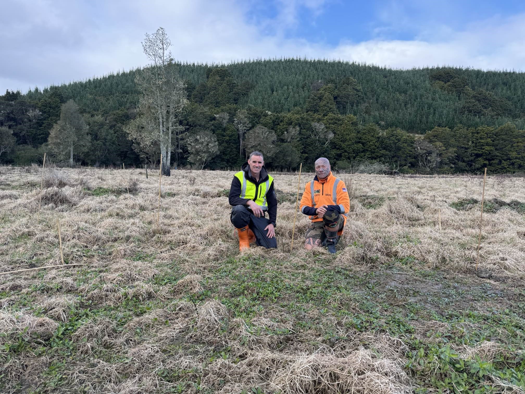 Partnering to progress native planting programme - Craigmore Sustainables