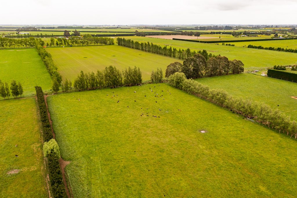 The potential returns on New Zealand land - Craigmore Sustainables